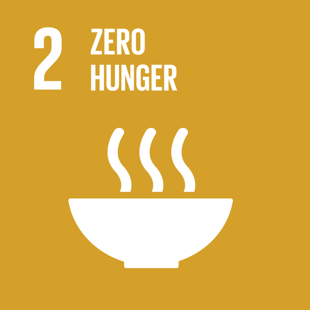 Home - Go Goals! SDG board game