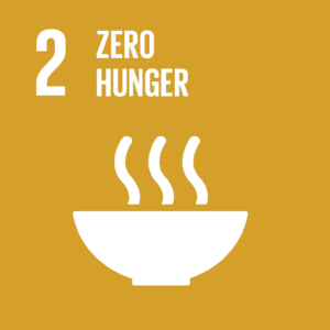 Home - Go Goals! SDG board game